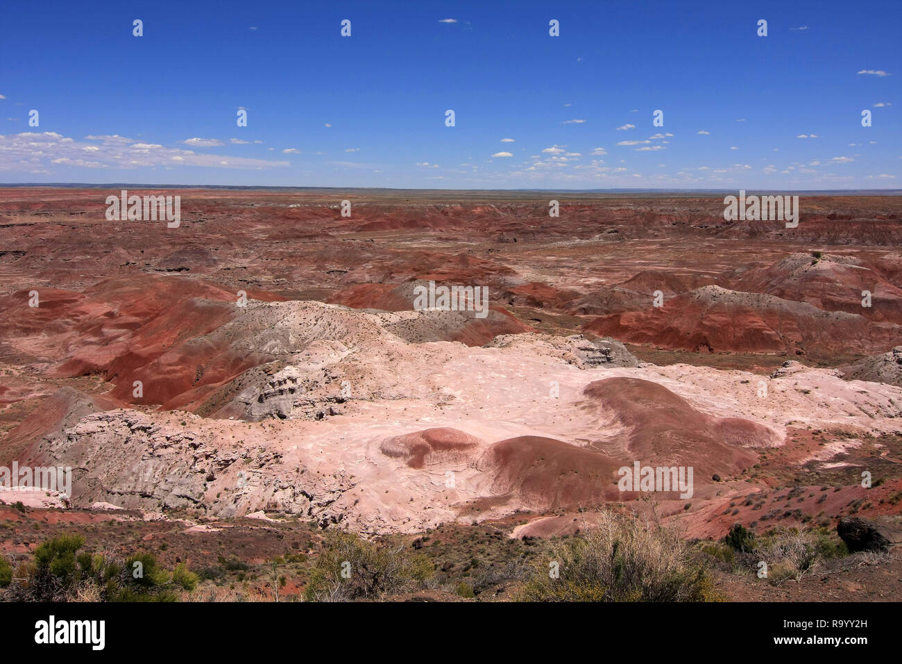 The Painted Desert, Petrified Forest National Park, Arizona, under a ...