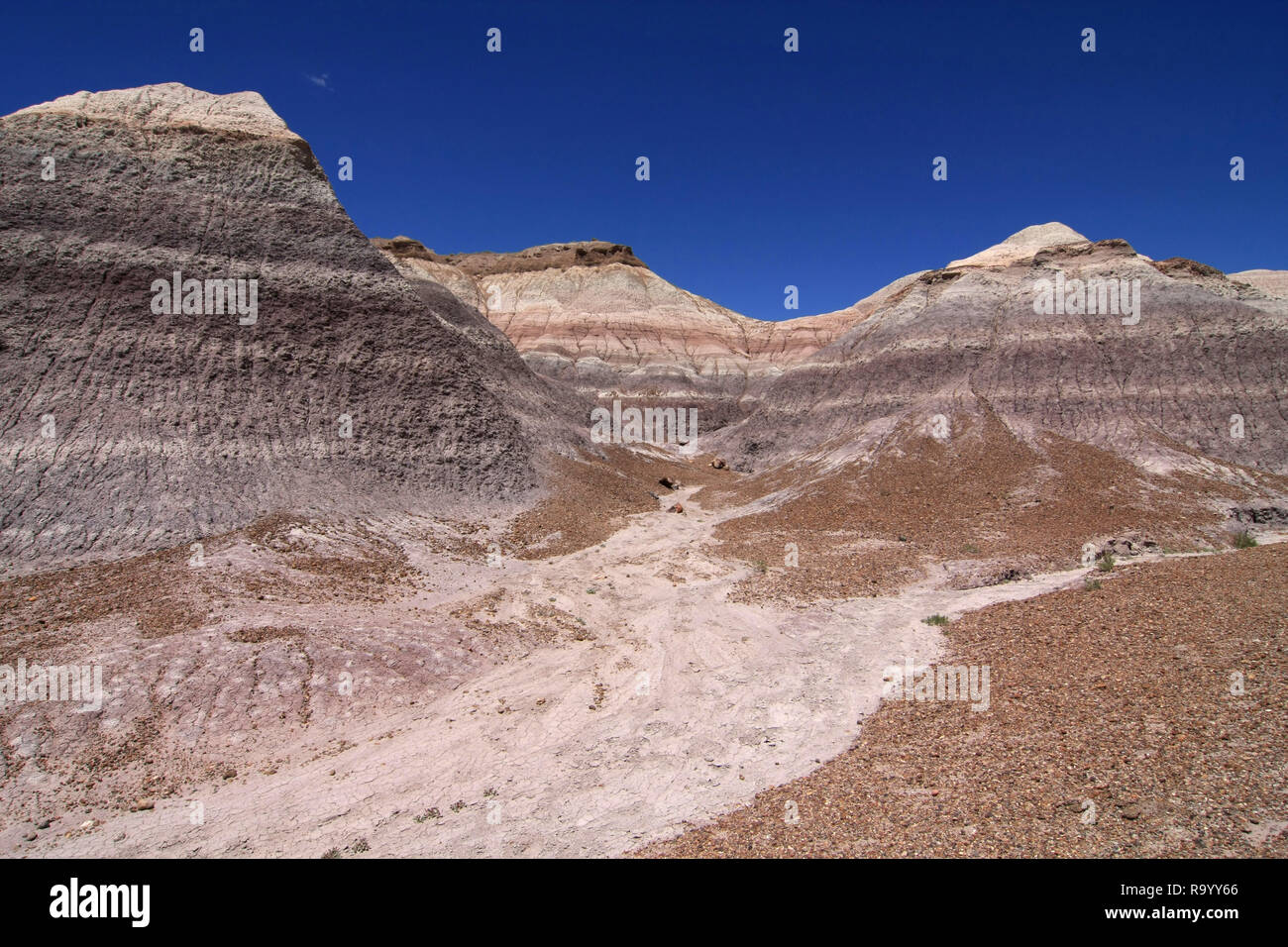 Badlands of the Painted Desert in Petrified Forest National Park ...
