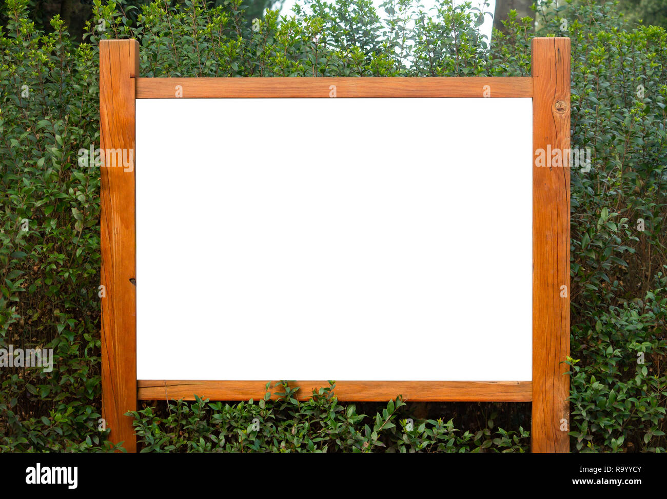 Front view of a wooden advertisement mockup at a green forest park ...