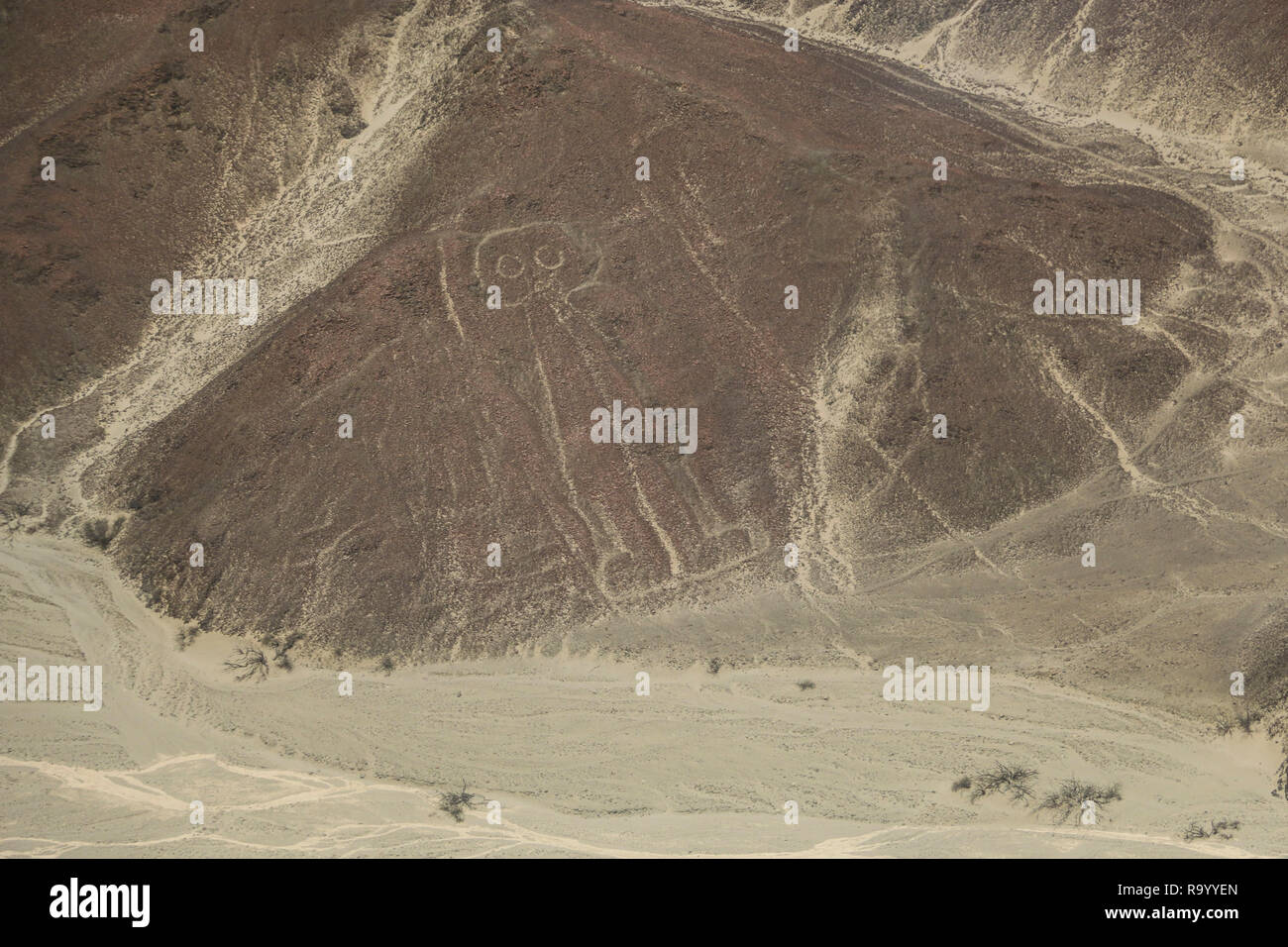 Nazca desert, Peru, hieroglyph astronaut Stock Photo - Alamy