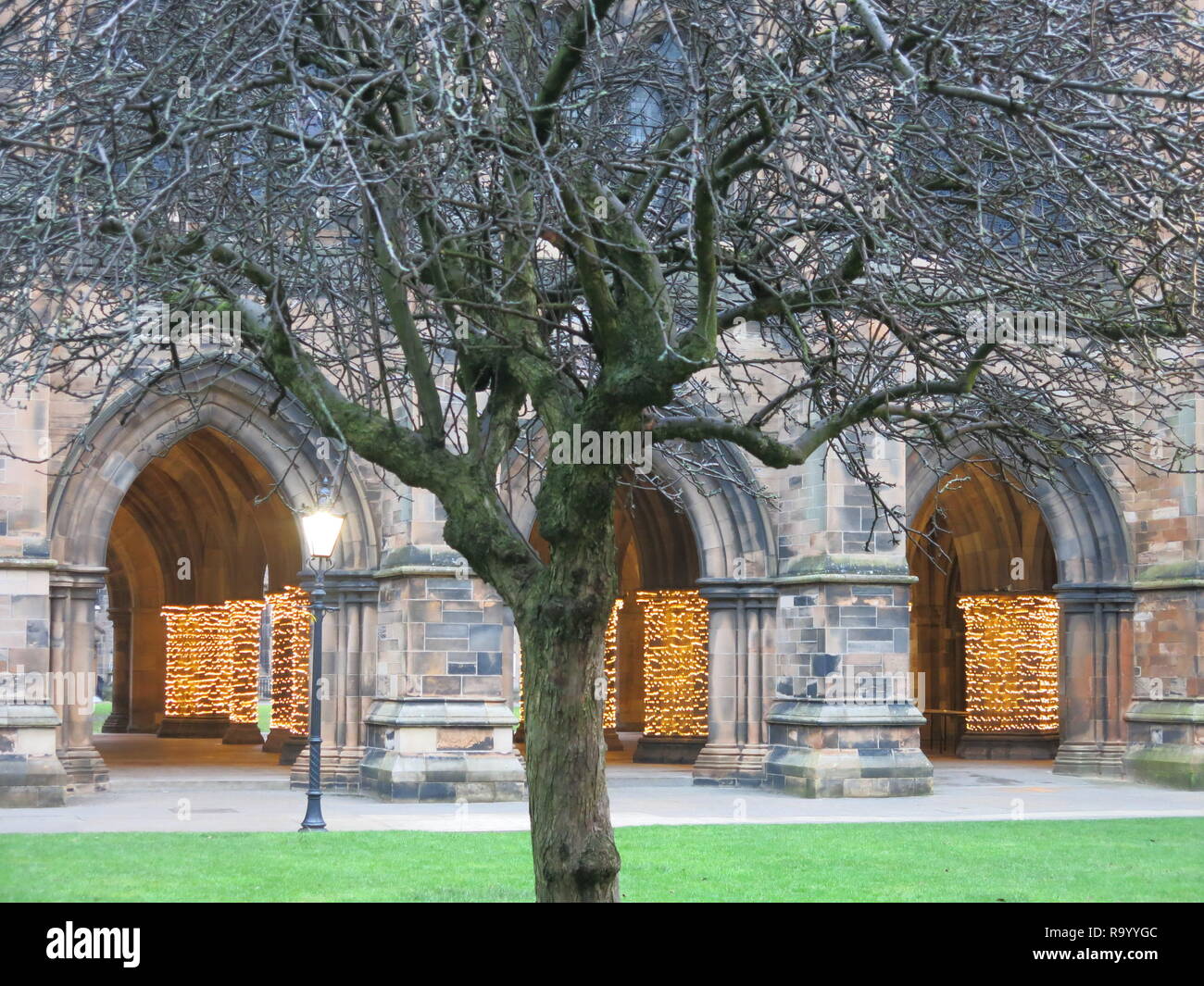 The Undercroft, or Cloisters, at Glasgow University were festively ...