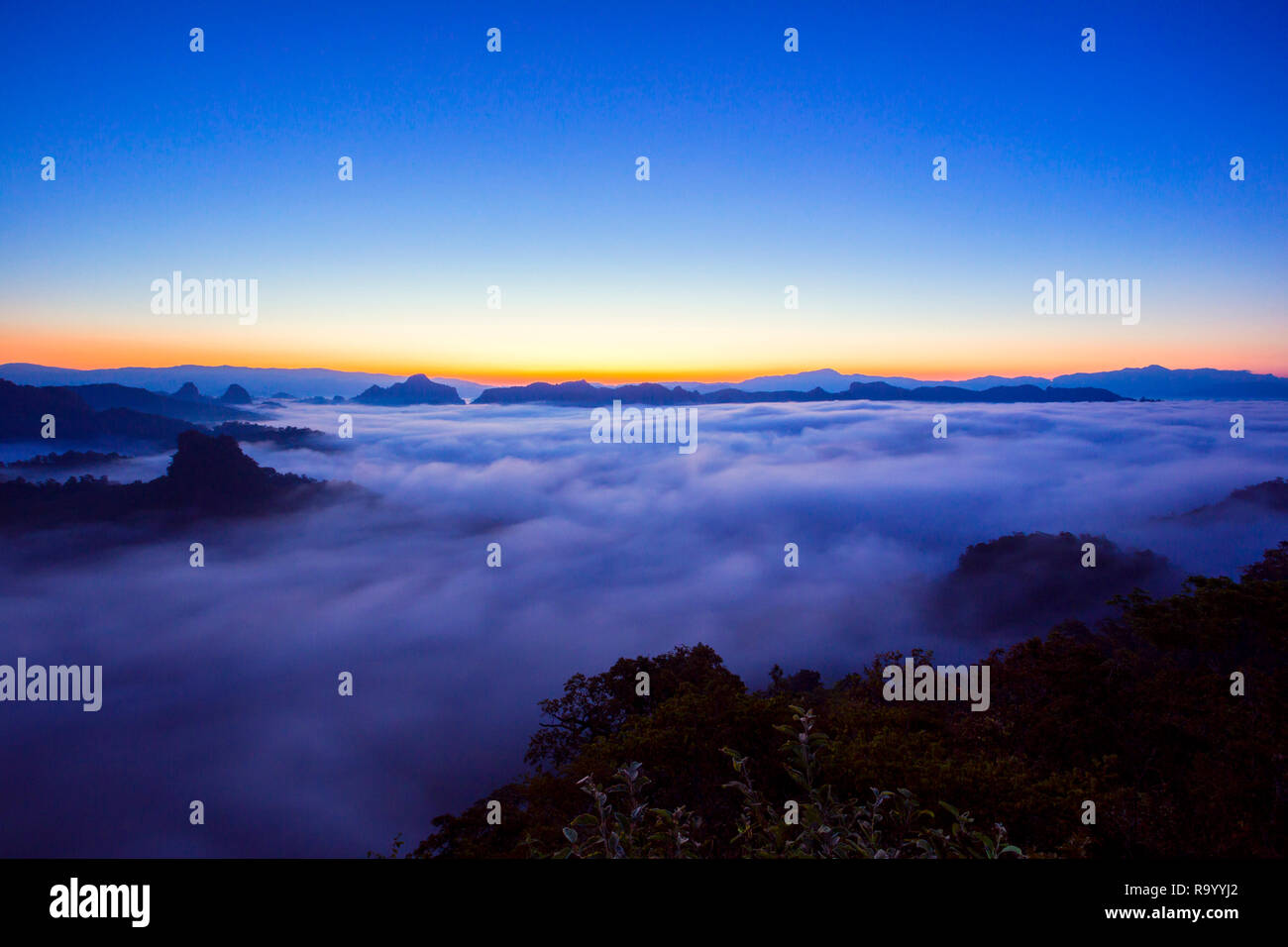 Mountain view with foggy environment during sunrise in the morning in ...