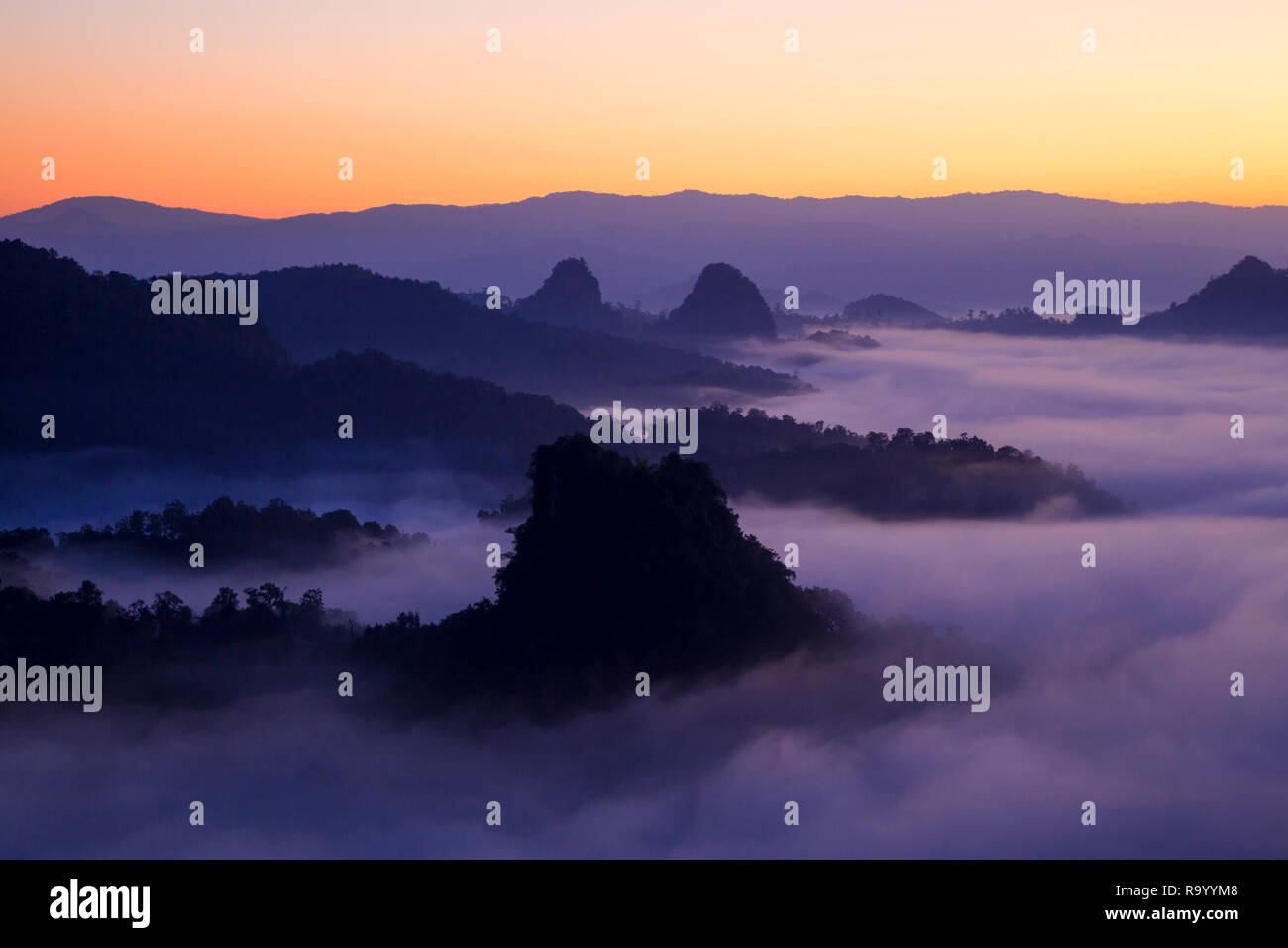 Mountain view with foggy environment during sunrise in the morning in ...