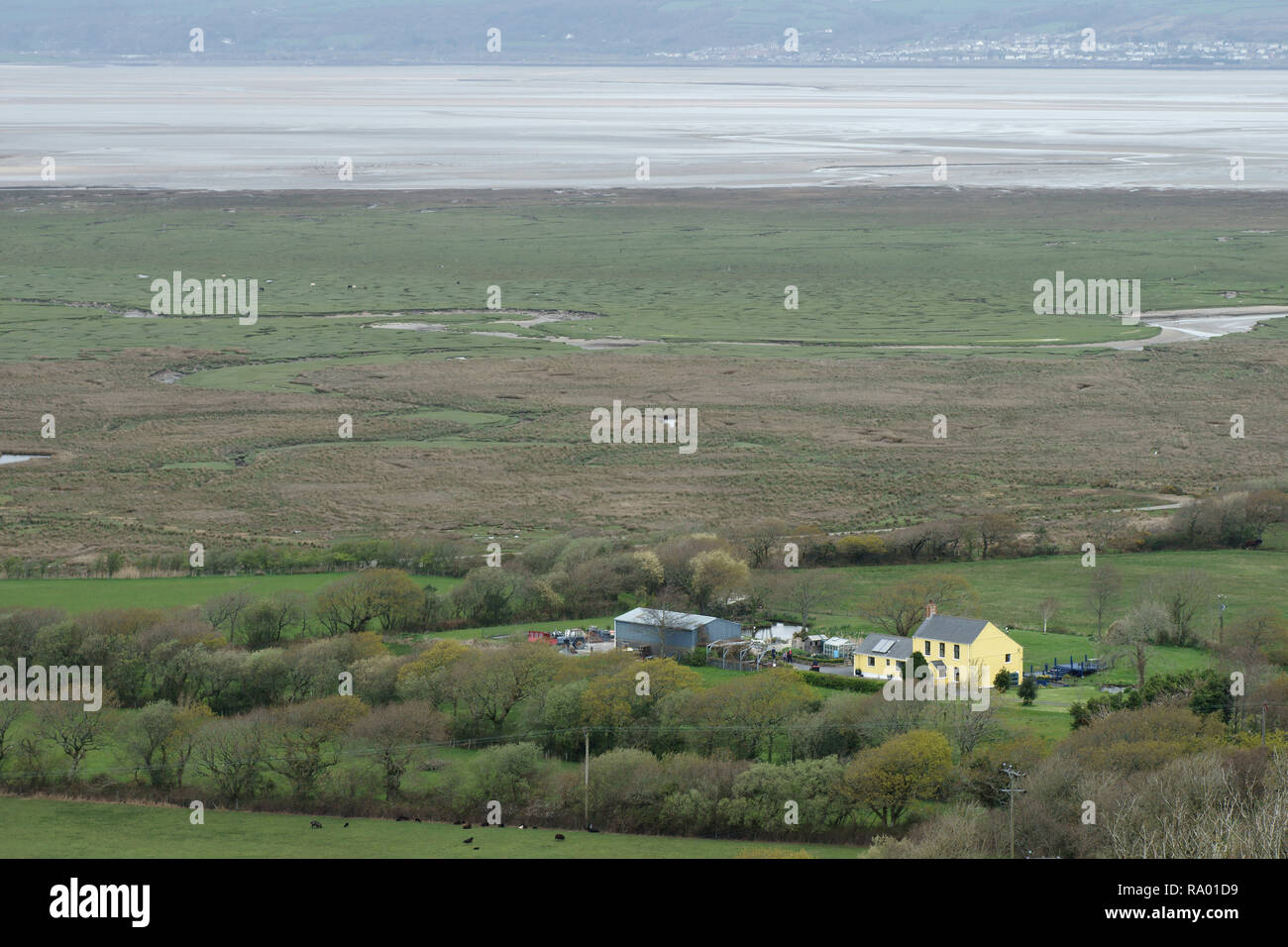 Wales salt marshes hi-res stock photography and images - Alamy
