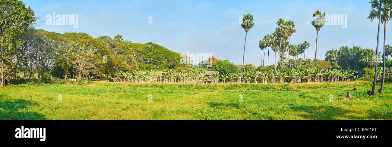 Panorama of the green meadow in front of banana garden in Ava, famous ...