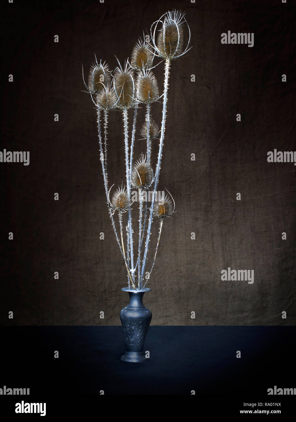Teasel vase hi-res stock photography and images - Alamy
