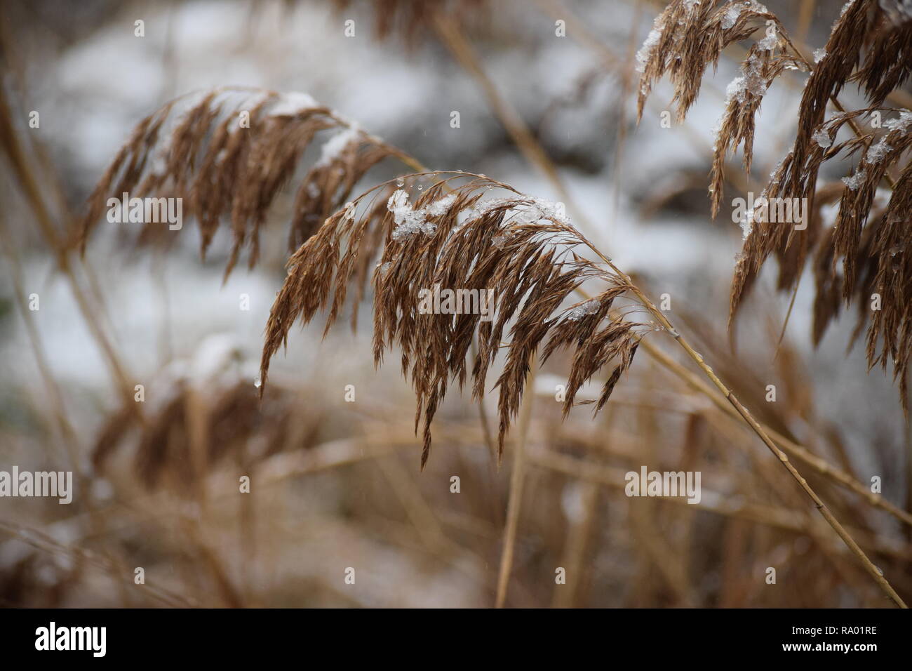 Snowmelt patterns hi-res stock photography and images - Alamy