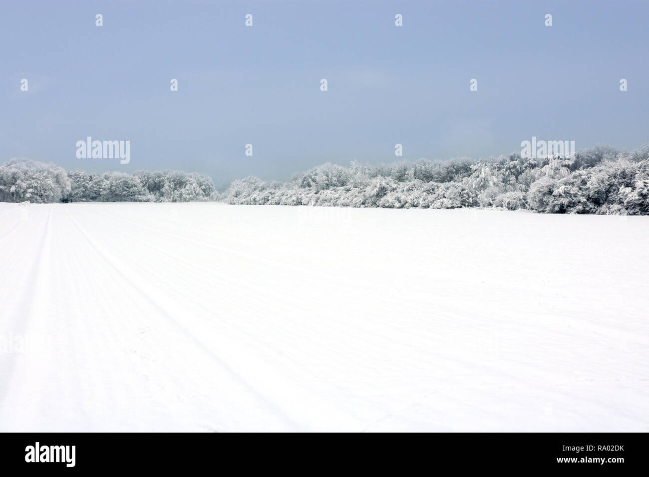 Winter park in snow in Frankenthal, Germany Stock Photo - Alamy