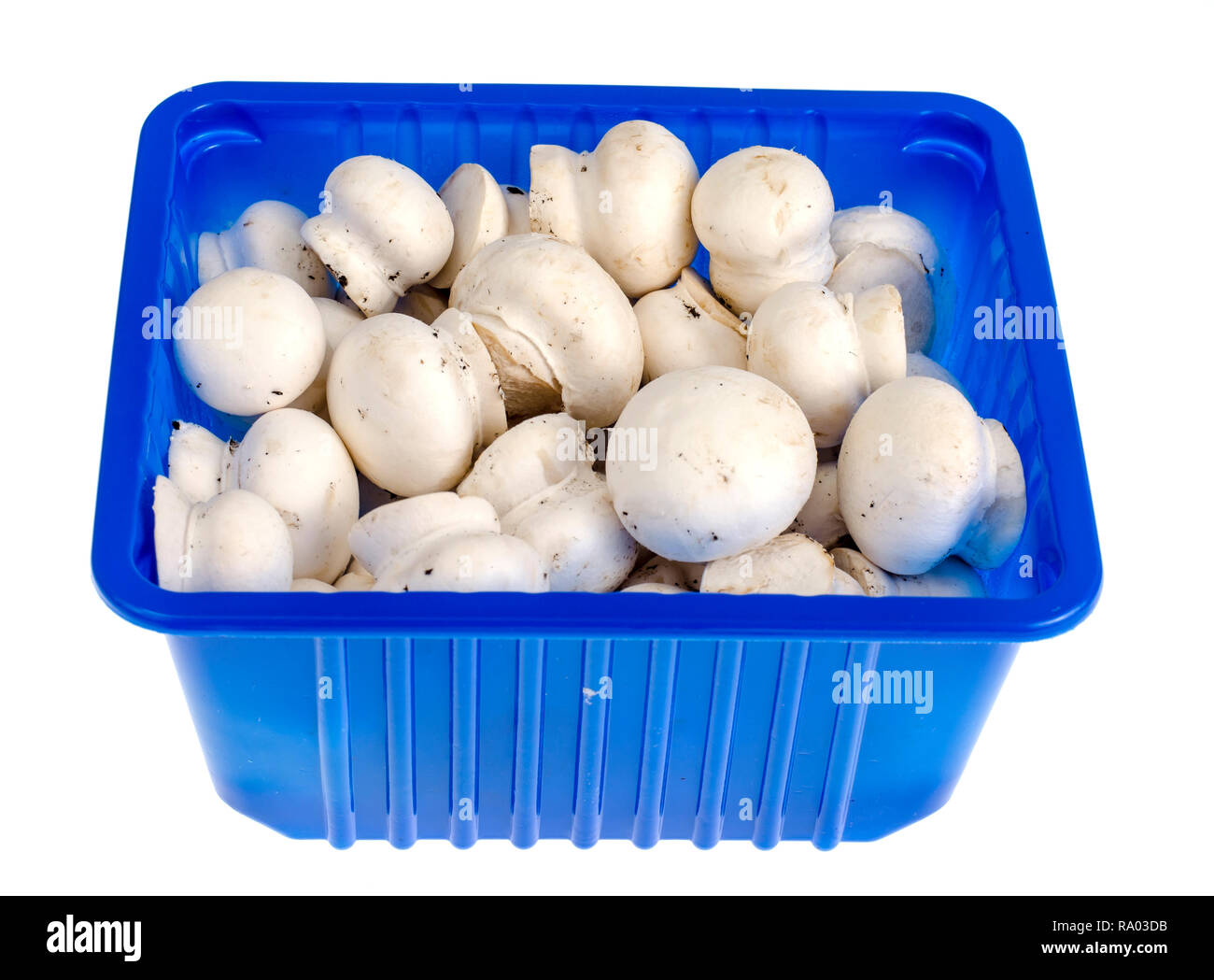 Growing mushrooms container hi-res stock photography and images - Alamy