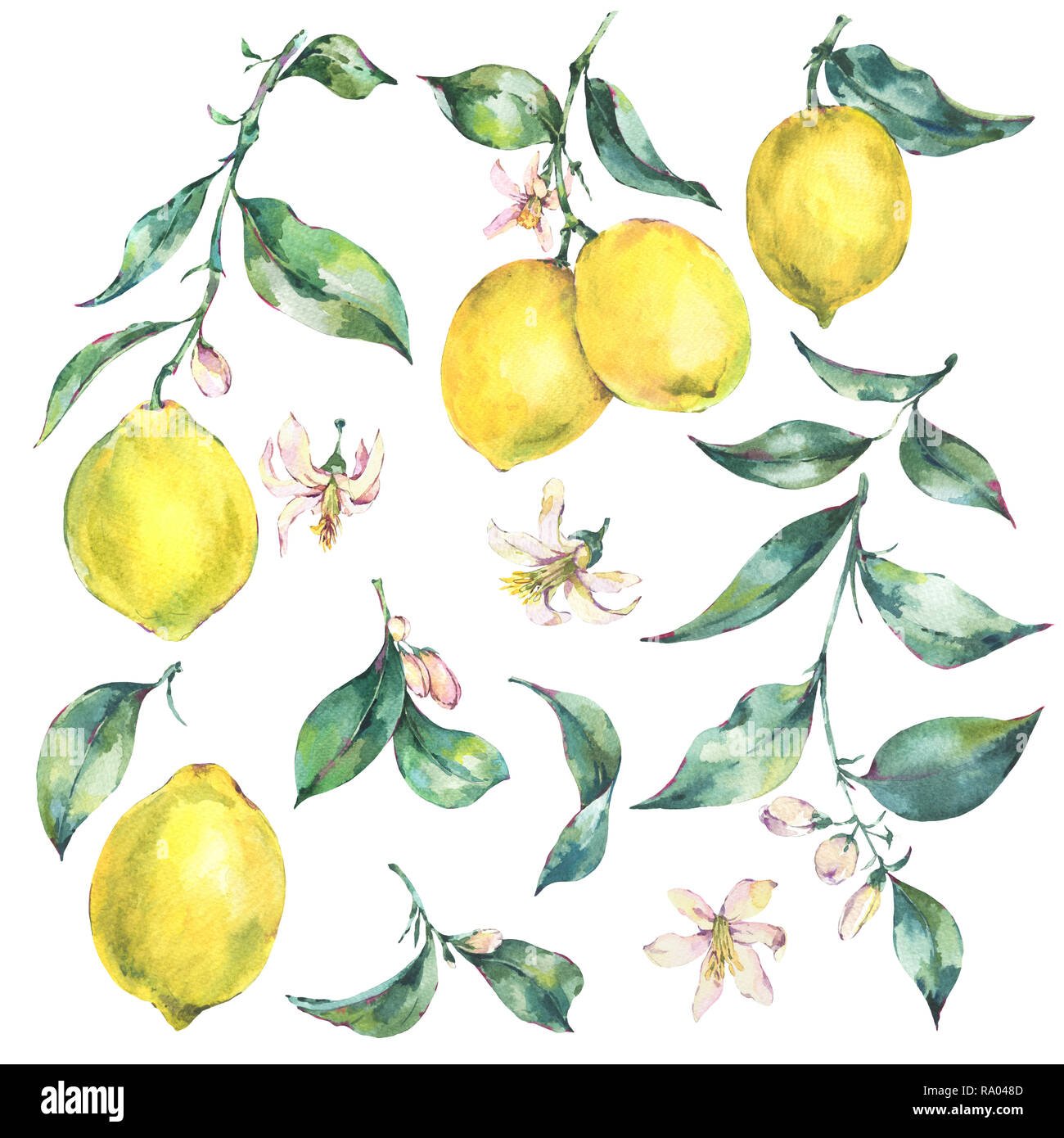 Vintage Lemon Art