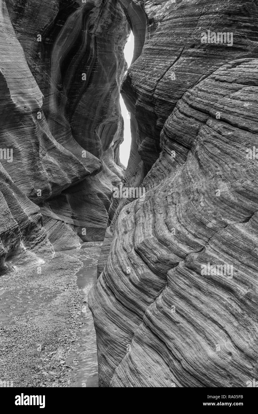 White canyon creek hi-res stock photography and images - Alamy