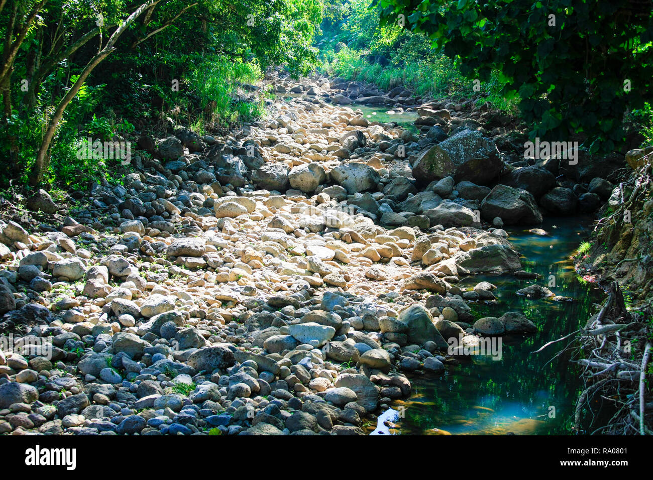 Dry river bed, Waimea Valley, Oahu, Hawaii Stock Photo - Alamy