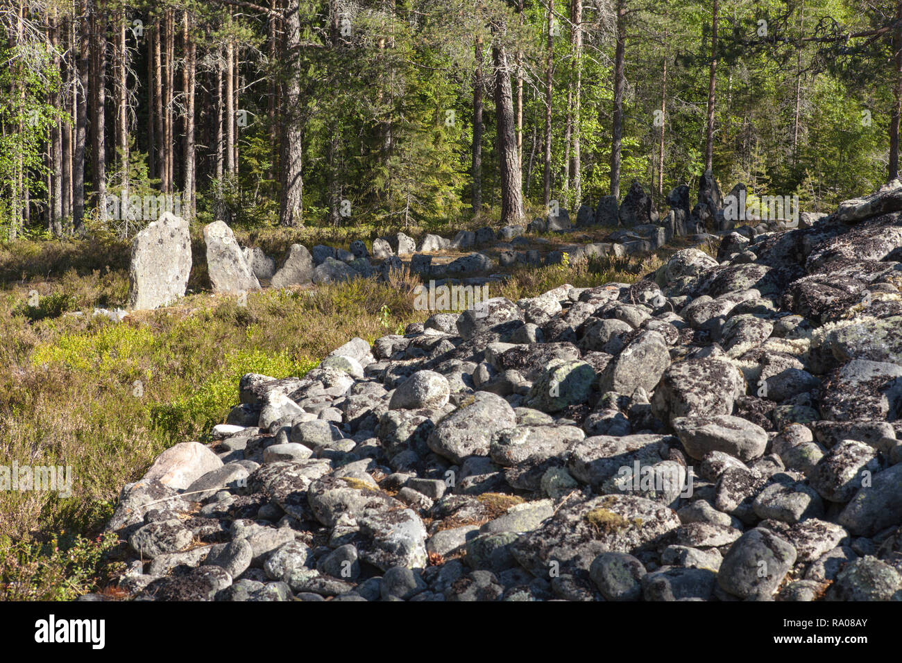 Stone ship, ship setting in the countryside. Forest in the background ...