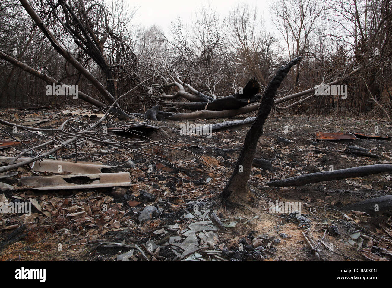 Remains of the Ukrainian village Polesskoye after forest fires raged in ...