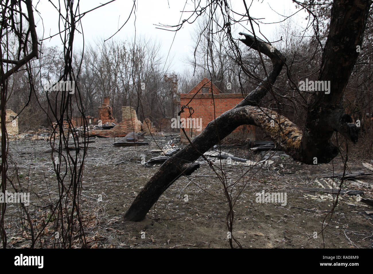 Remains of the Ukrainian village Polesskoye after forest fires raged in ...