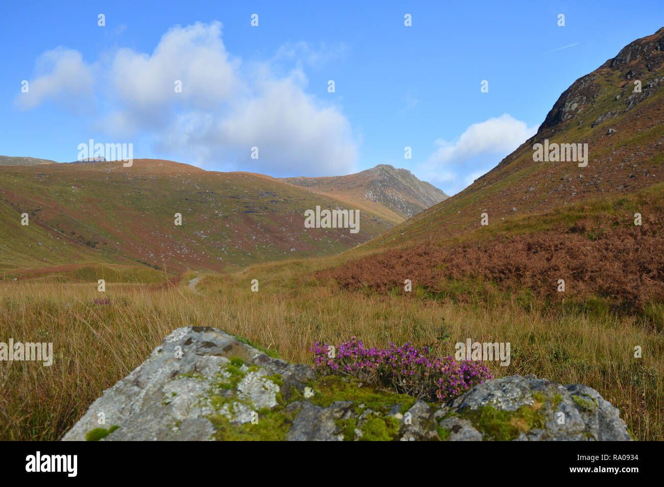 Views from walk in Glen Rosa on the Isle of Arran Stock Photo - Alamy
