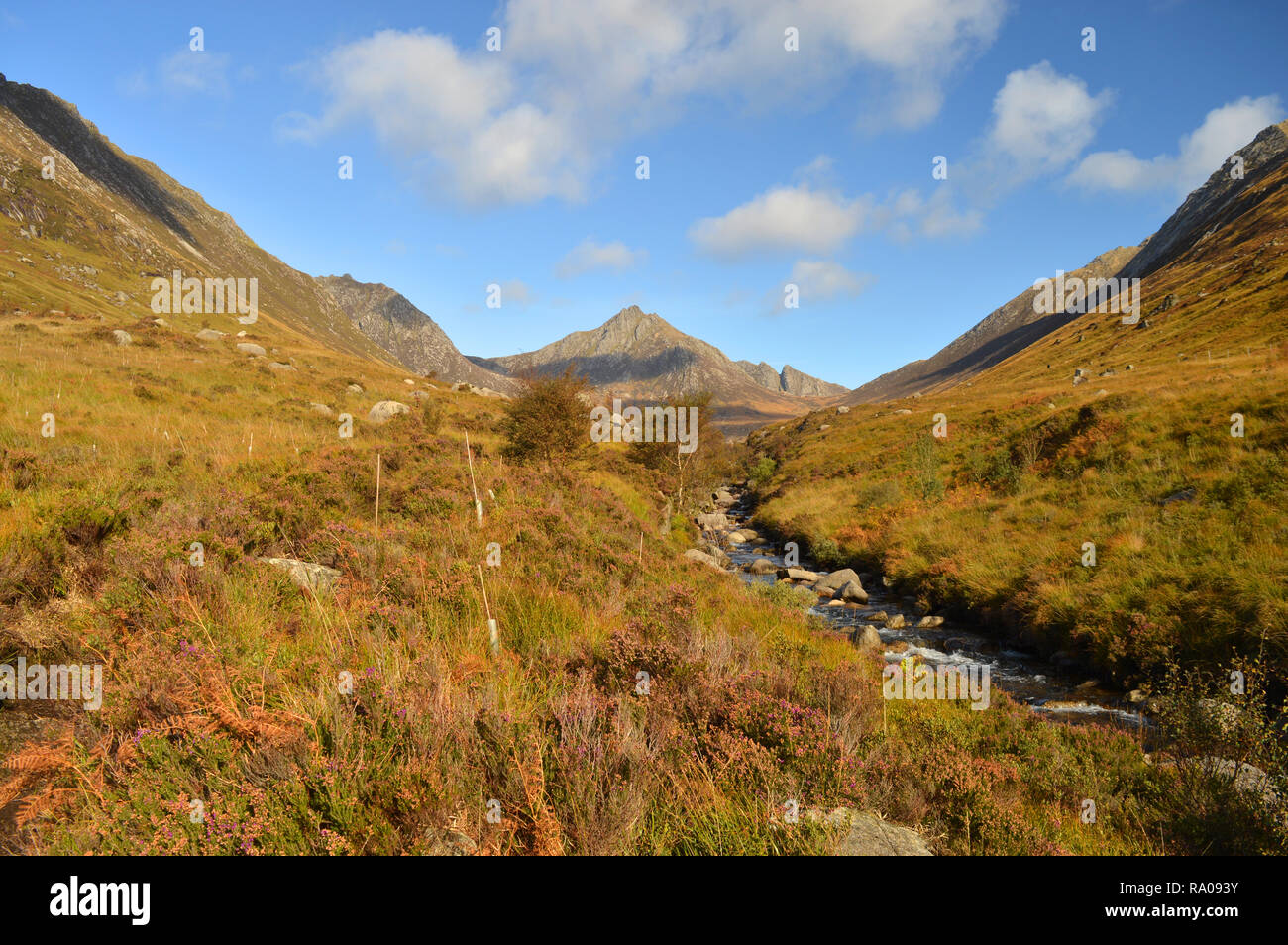 Views from walk in Glen Rosa on the Isle of Arran Stock Photo - Alamy