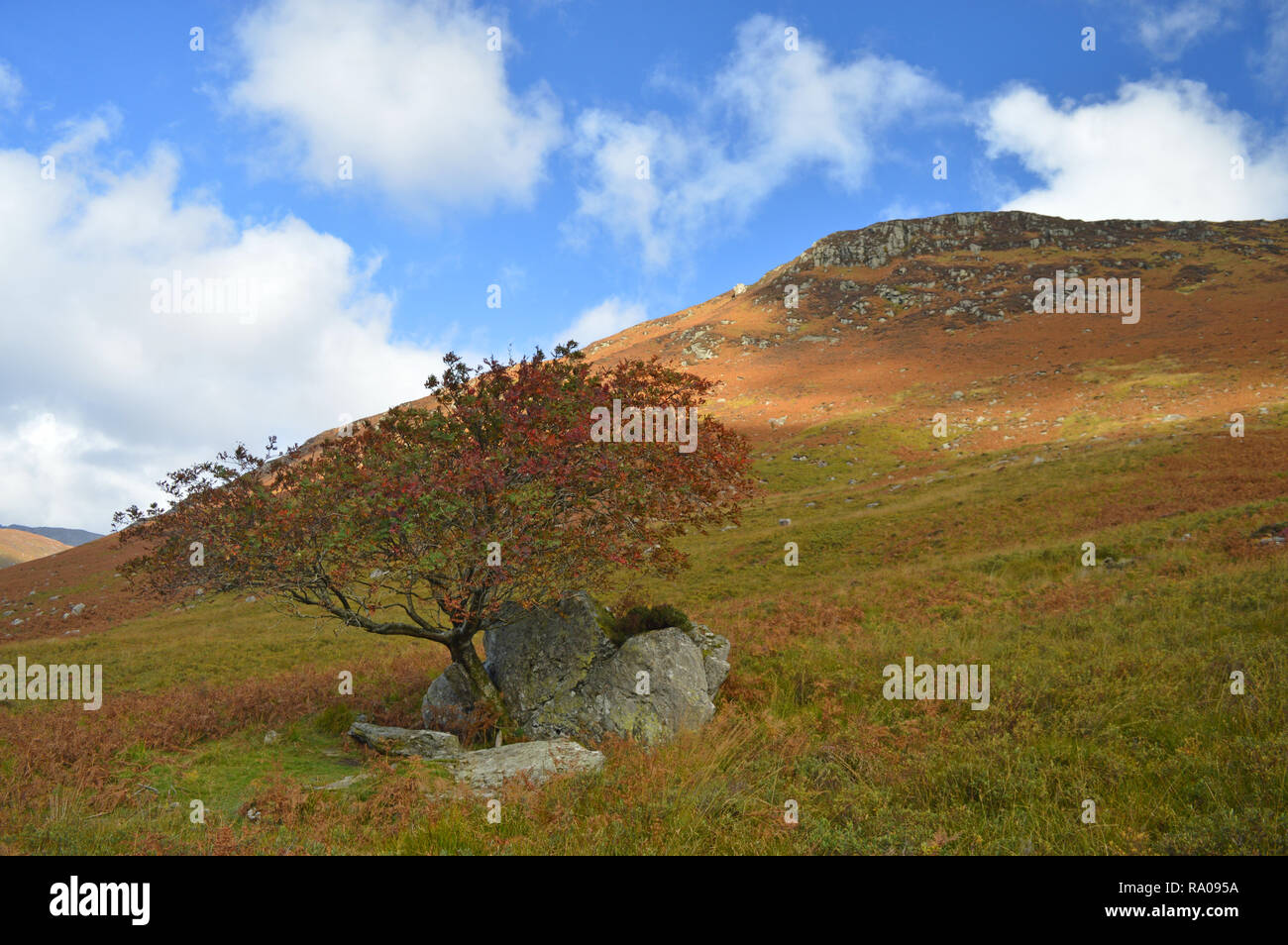 Views from walk in Glen Rosa on the Isle of Arran Stock Photo - Alamy