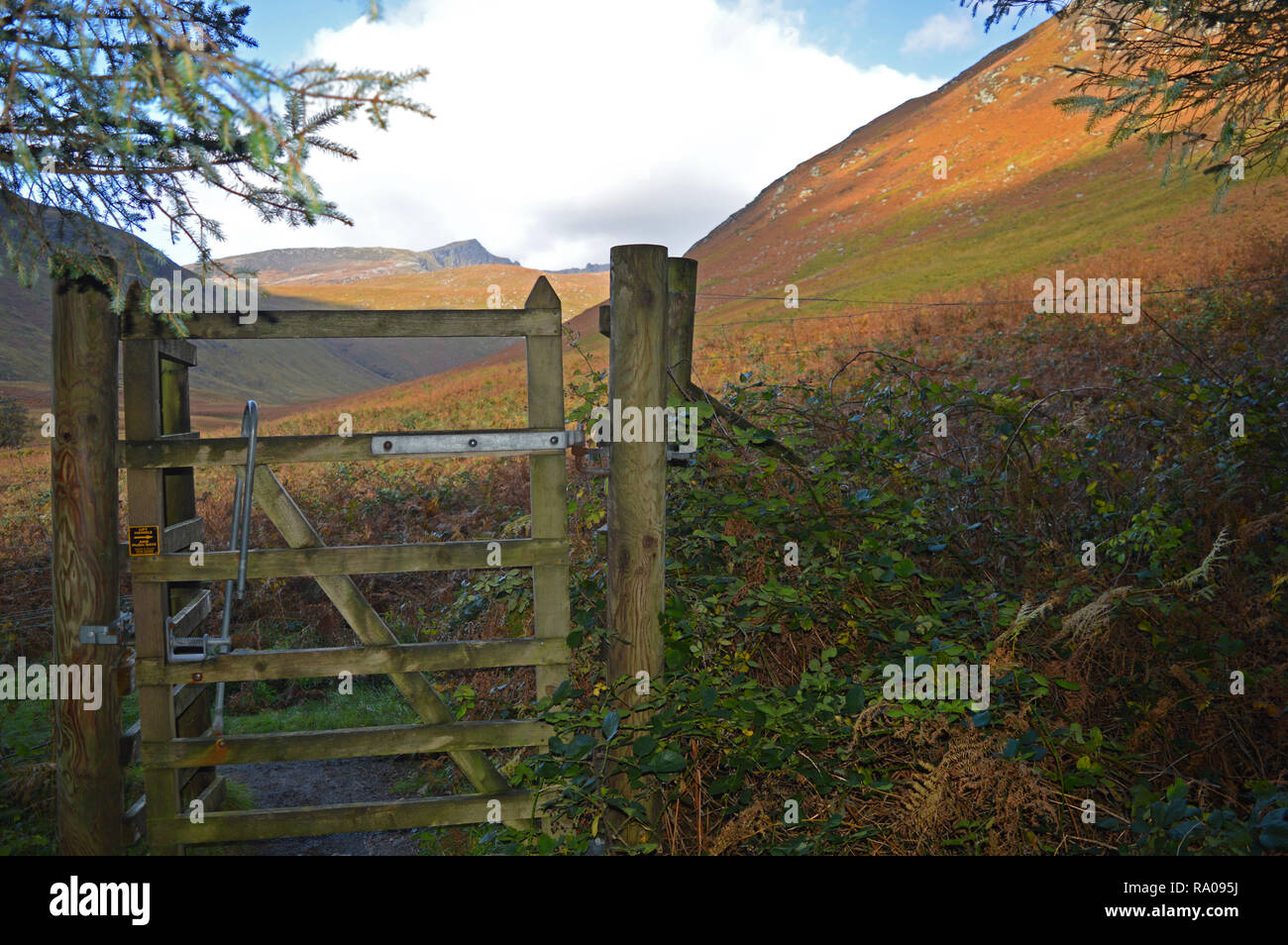 Views from walk in Glen Rosa on the Isle of Arran Stock Photo - Alamy