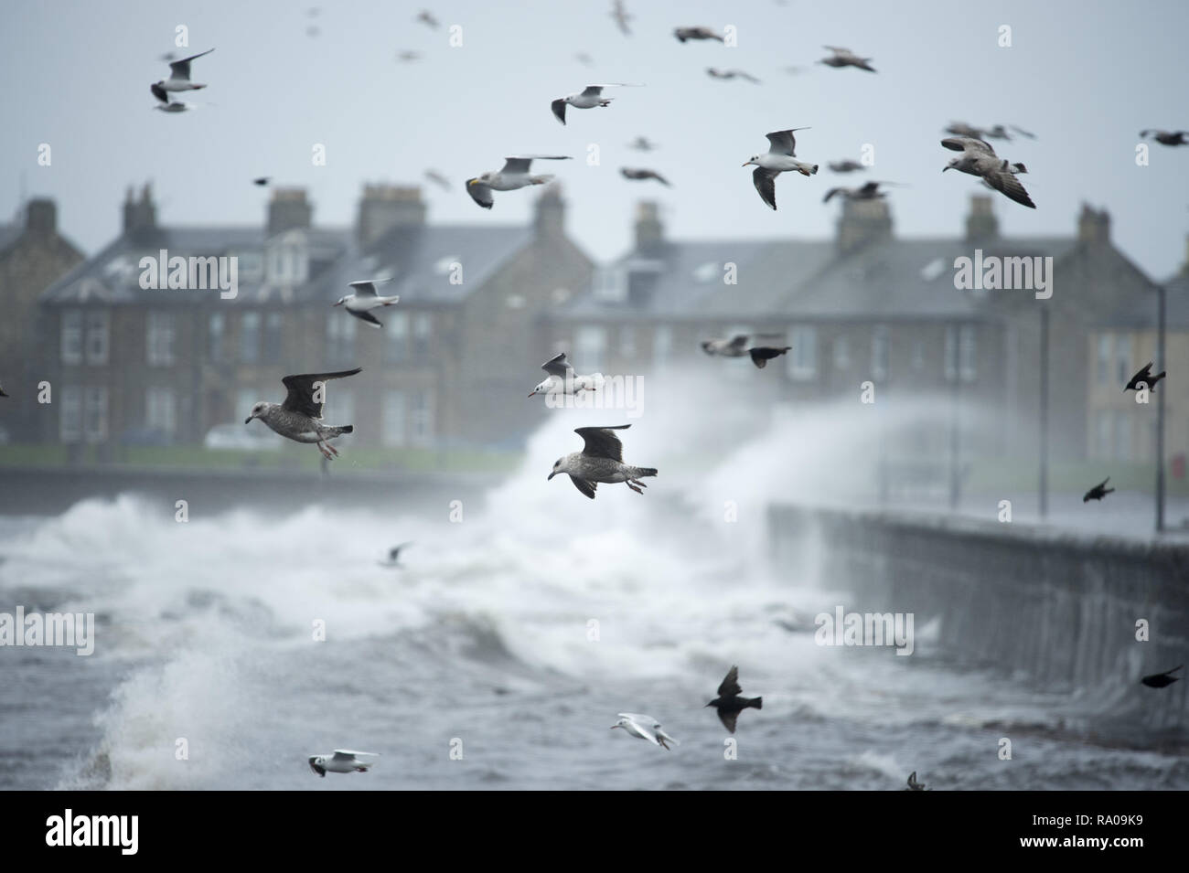 Troon experiences a yellow Met weather warning for high winds and rain ...