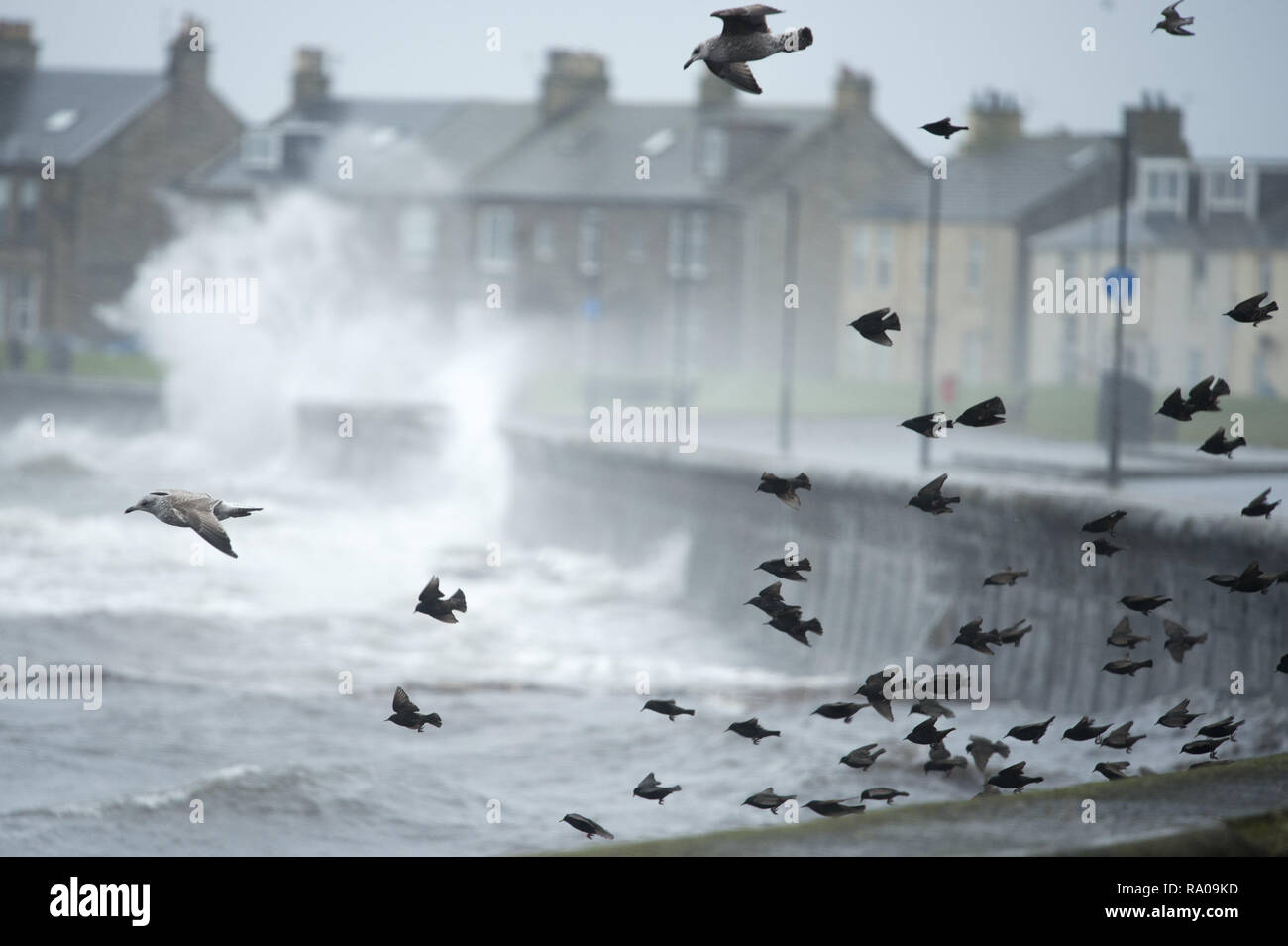 Troon experiences a yellow Met weather warning for high winds and rain ...