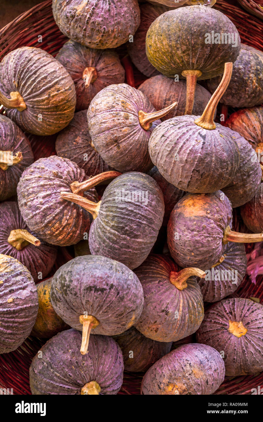 Asian squash hi-res stock photography and images - Alamy