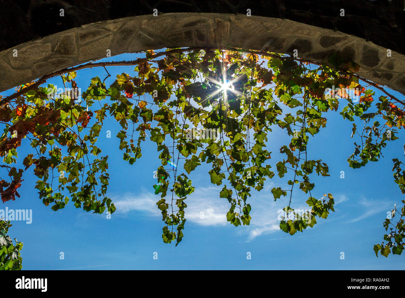 Sun in the arch Stock Photo - Alamy