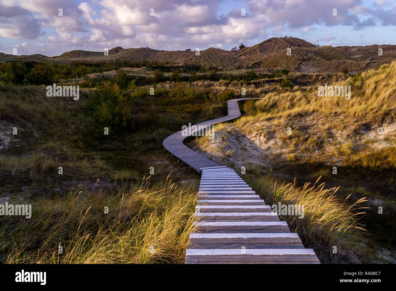 Wooden stairs of a path through the island of Amrum in Germany Stock ...