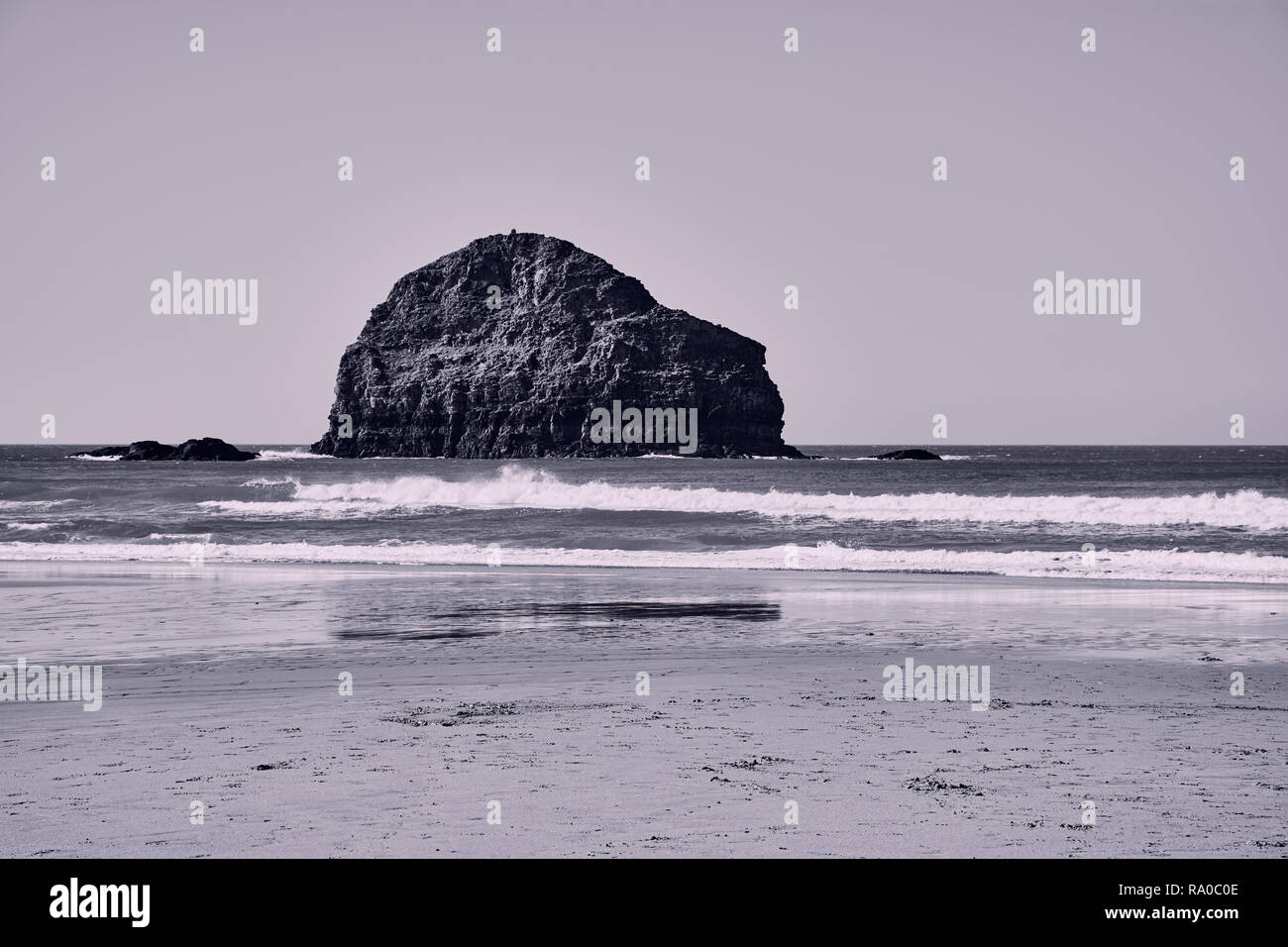 Trebarwith strand and gull rock, Cornwall, black and white picture with ...