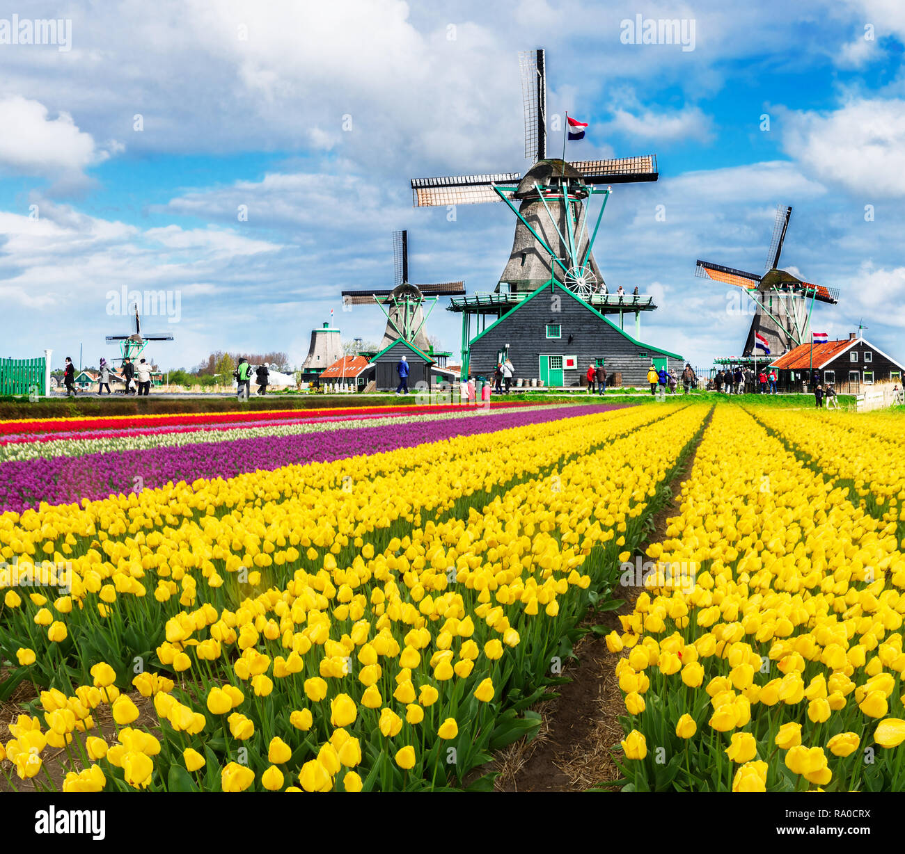 Dutch wind mills Stock Photo - Alamy