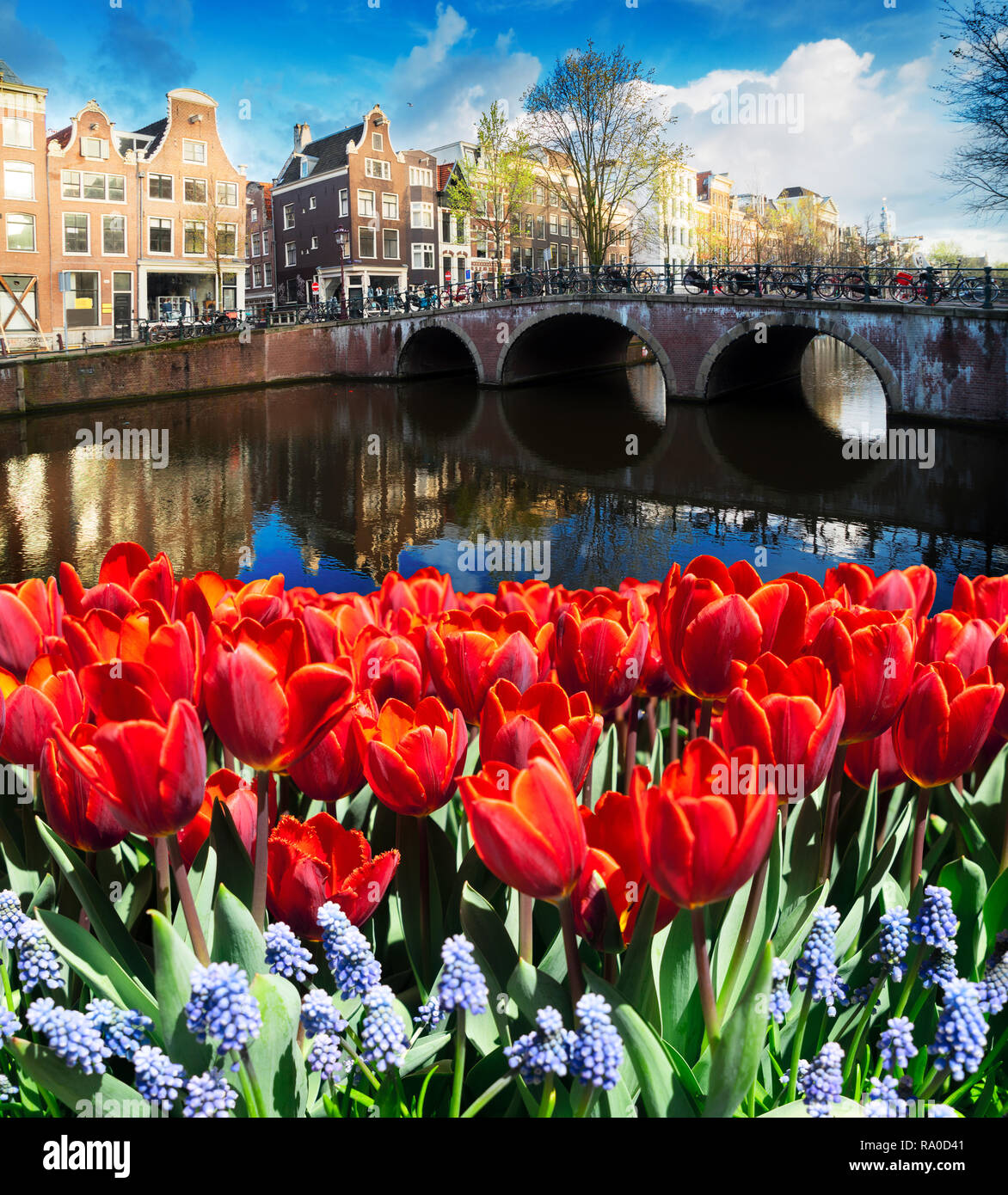 Houses of Amstardam, Netherlands Stock Photo - Alamy