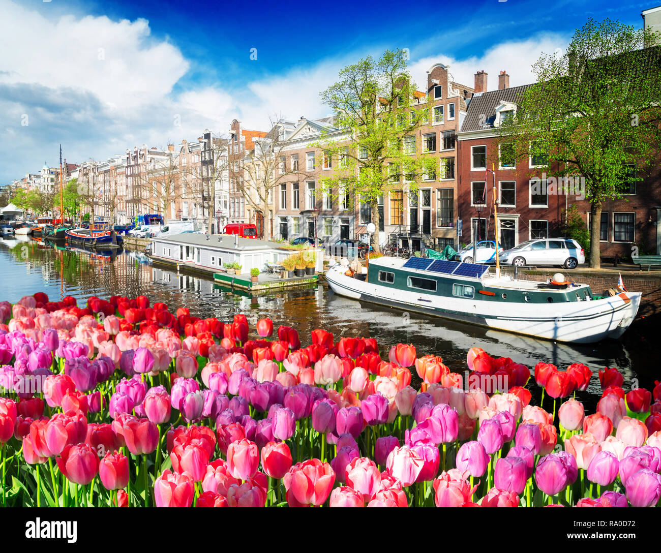 Amstel river flowers hi-res stock photography and images - Alamy