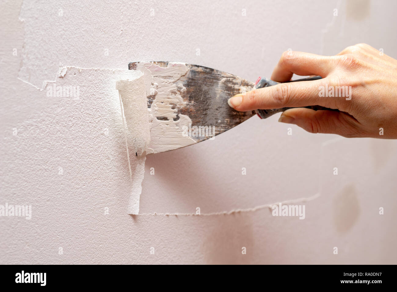 Stripping old paint from the wall. Renovation and painting of walls in ...