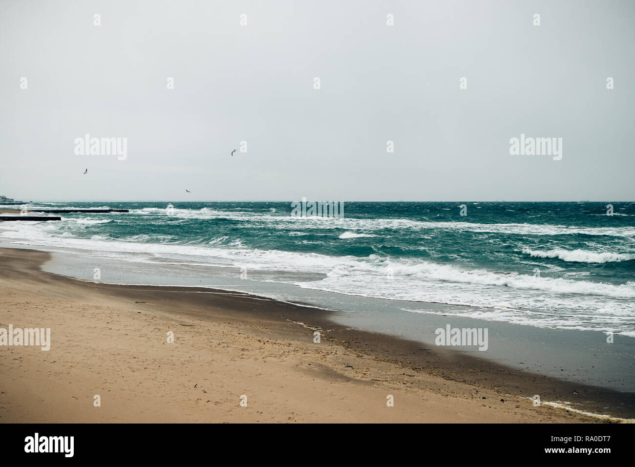 Overcast winter seascape with foamed waves in stormy weather. Ocean ...