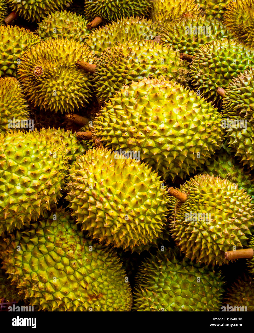 Pile durian hi-res stock photography and images - Alamy