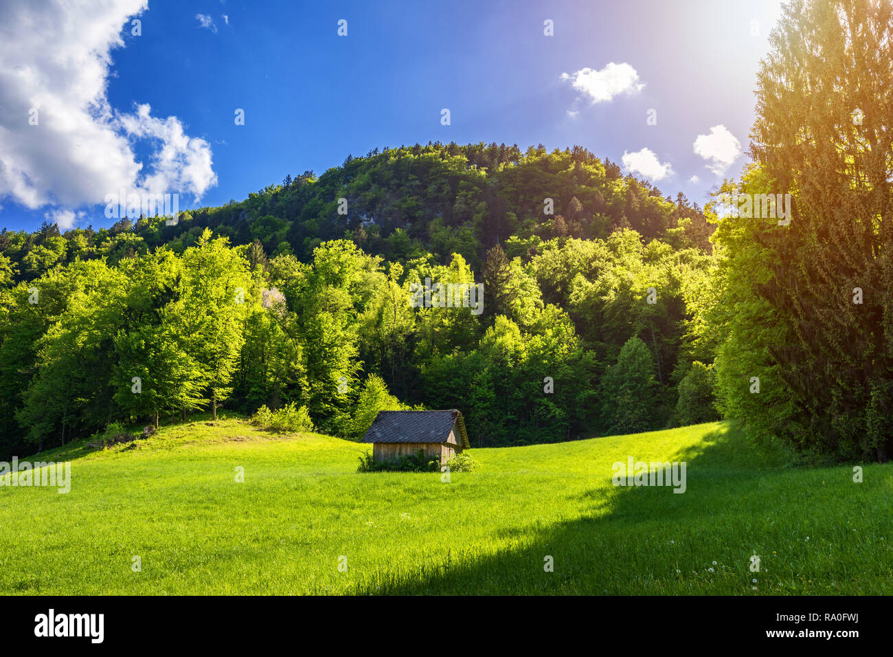 Secluded cabin in the woods. Mountain Log Cabin surrounded by trees and ...