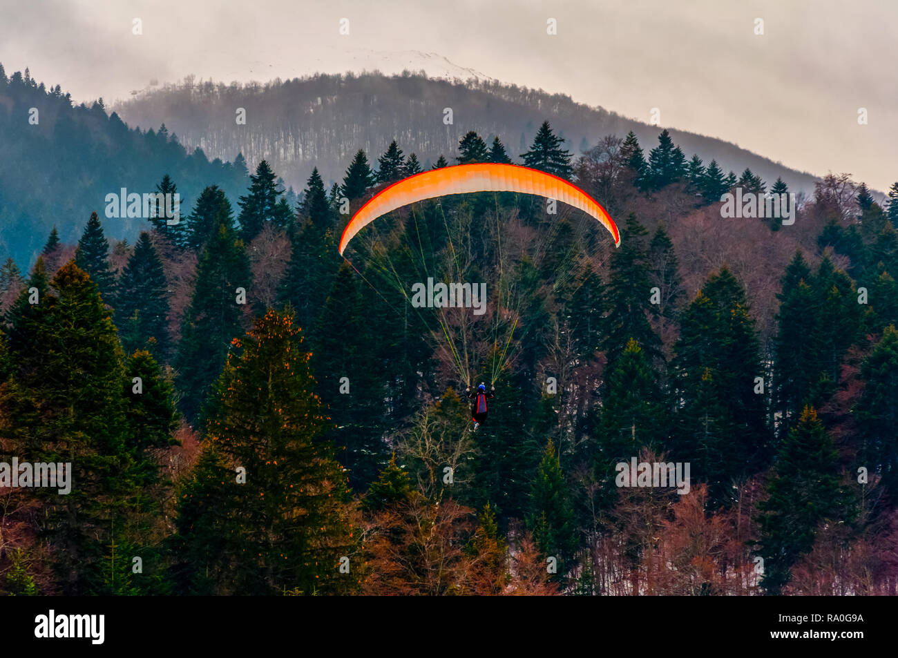 Parachute flying above pine hi-res stock photography and images - Alamy