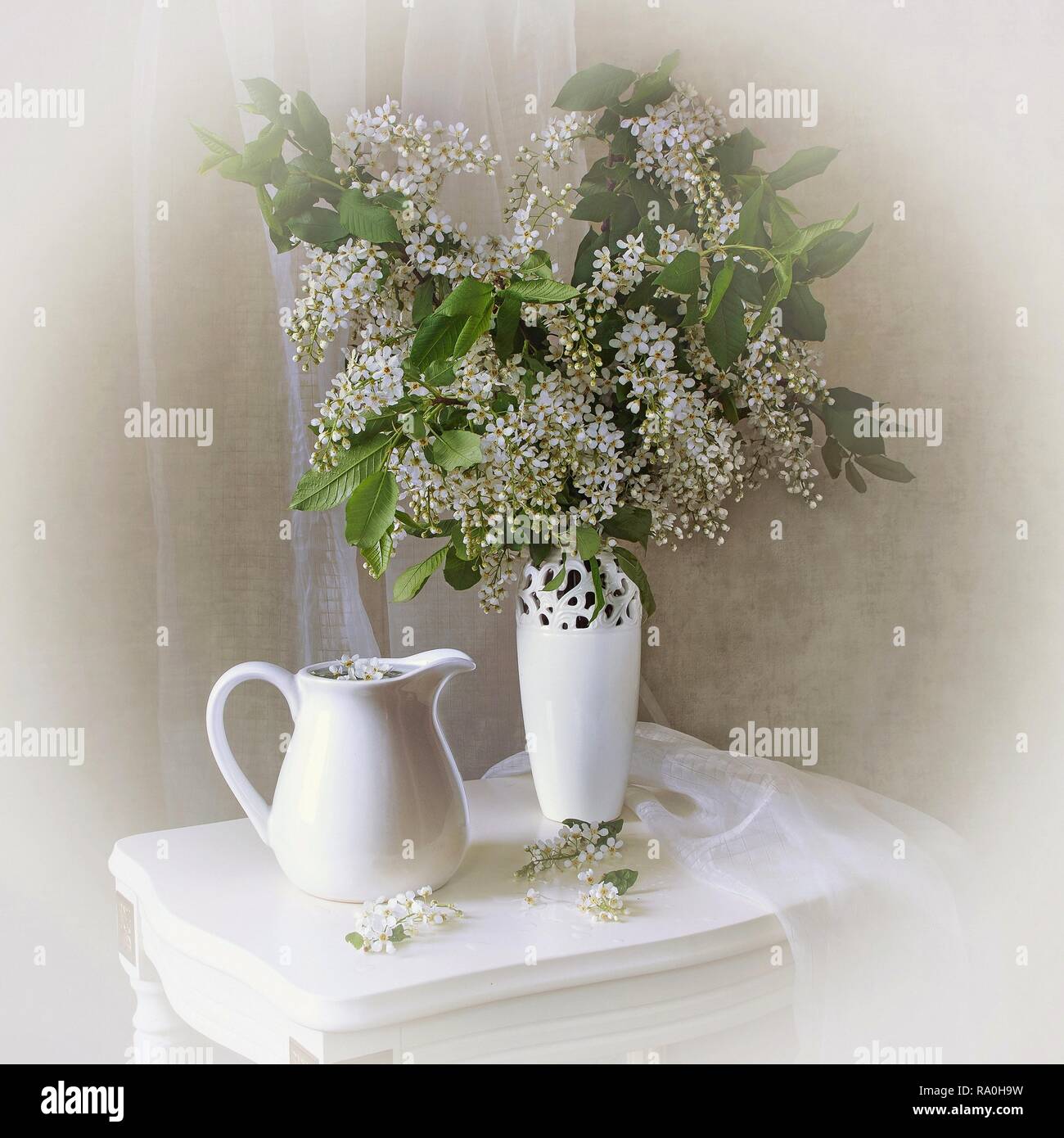 Delicate branches of wild cherry flowers hi-res stock photography and ...