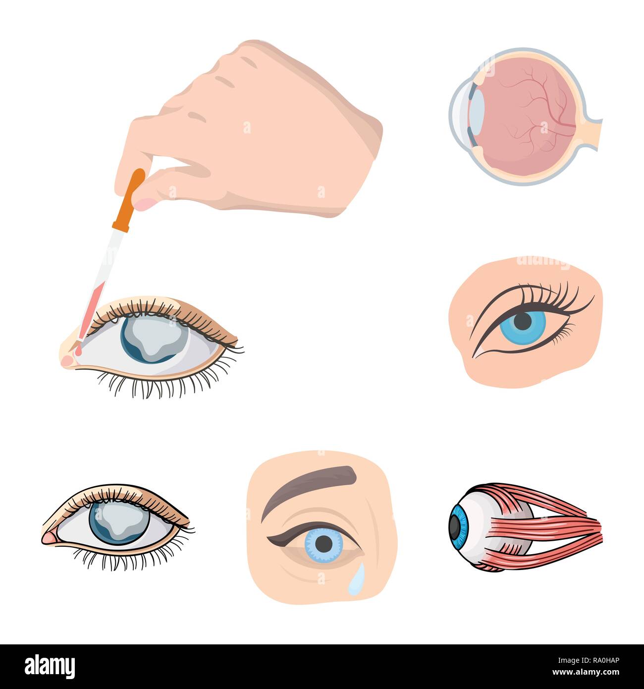 eye,eyebrow,medicine,makeup,lady,beauty,threading,fashion,eyelash ...