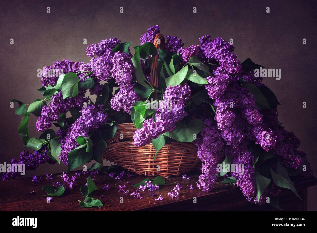 Still life with bouquet of lilac Stock Photo - Alamy