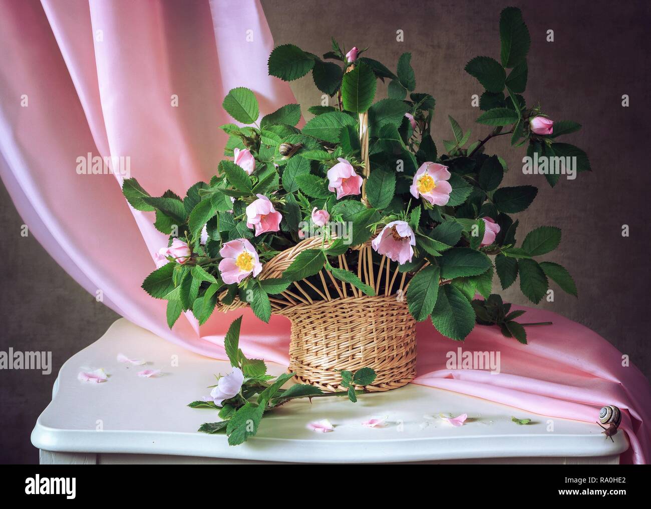 Still life with bouquet of pink wild roses Stock Photo - Alamy