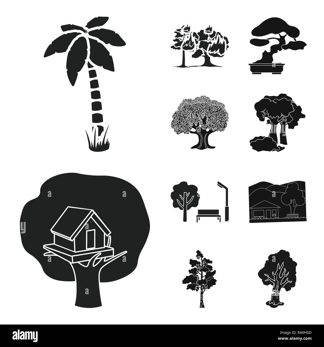 California black oak tree Stock Vector Images - Alamy