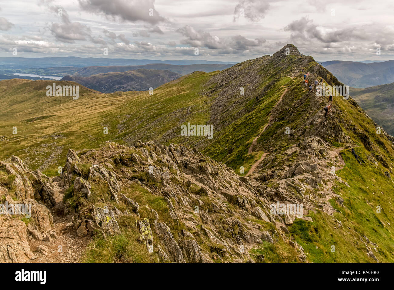 View looking East along Striding Edge, a ridge by Helvellyn, a mountain ...