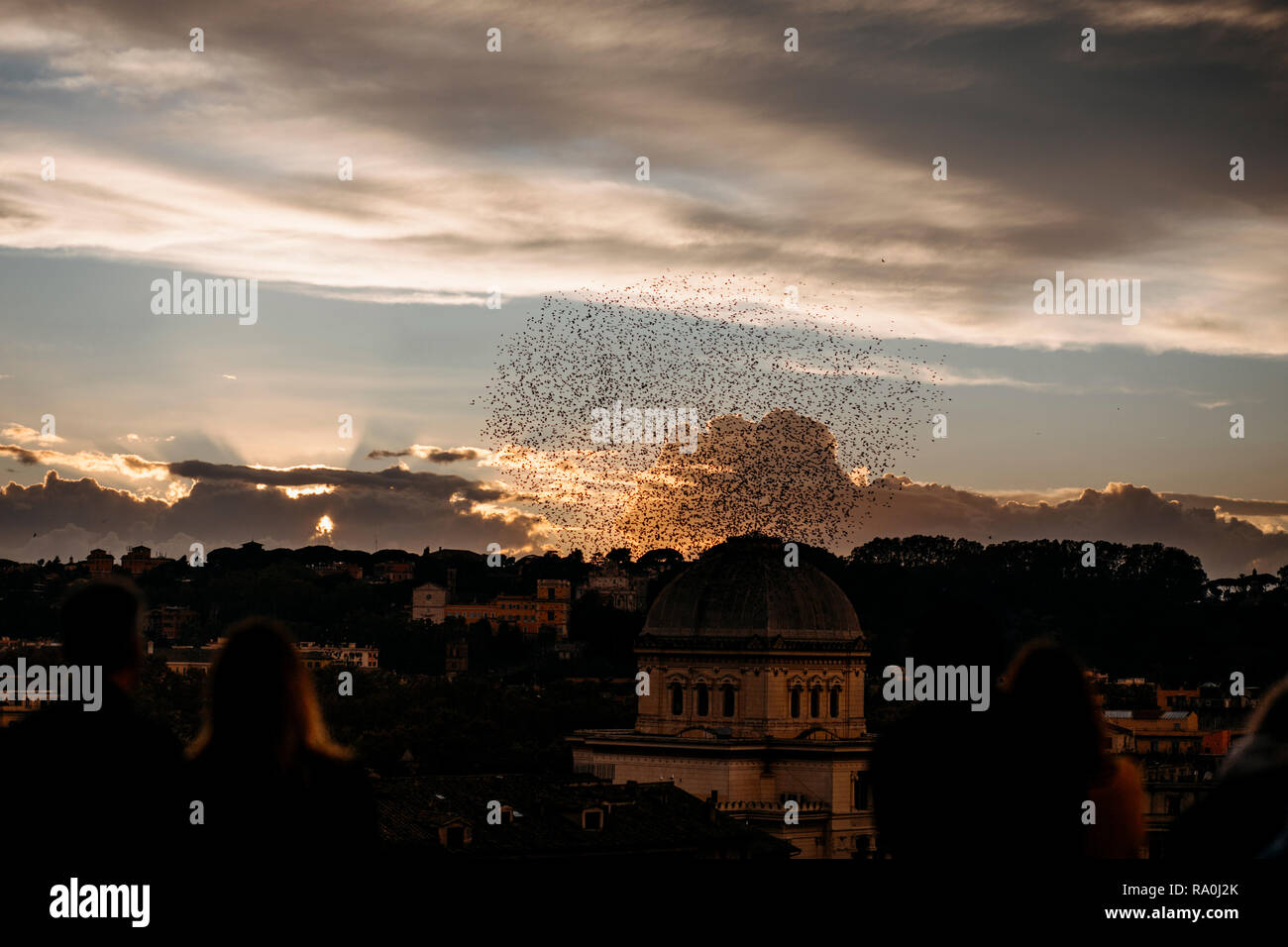 rome sunset flocks of birds Stock Photo - Alamy