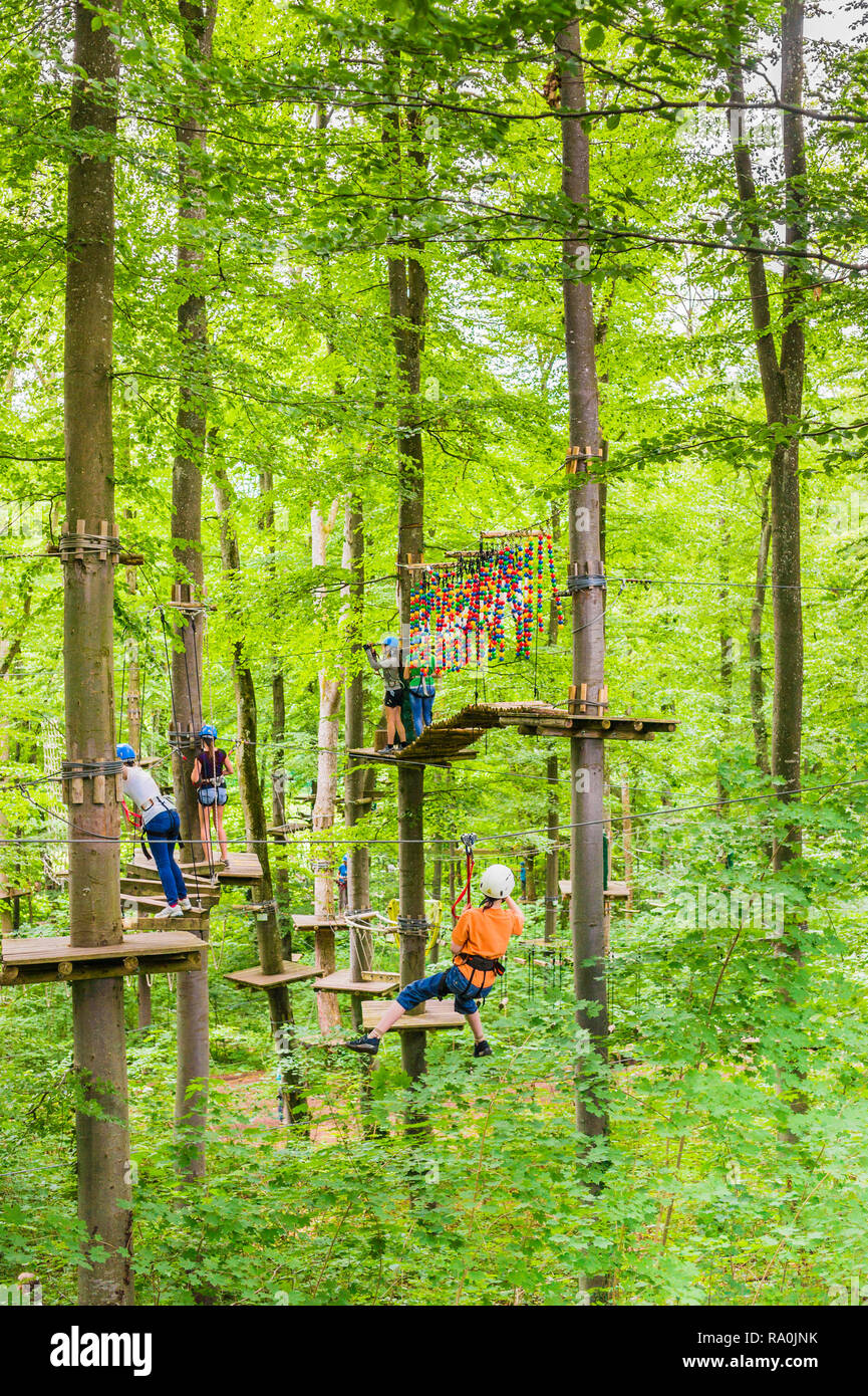 Teambuilding woods hi-res stock photography and images - Alamy