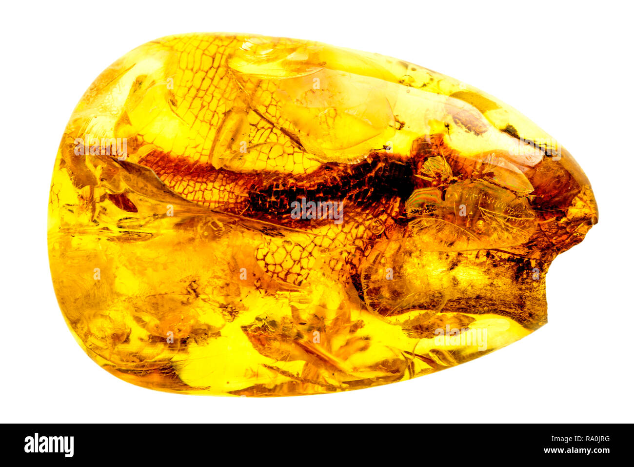 Inclusions in amber Cut Out Stock Images & Pictures - Alamy