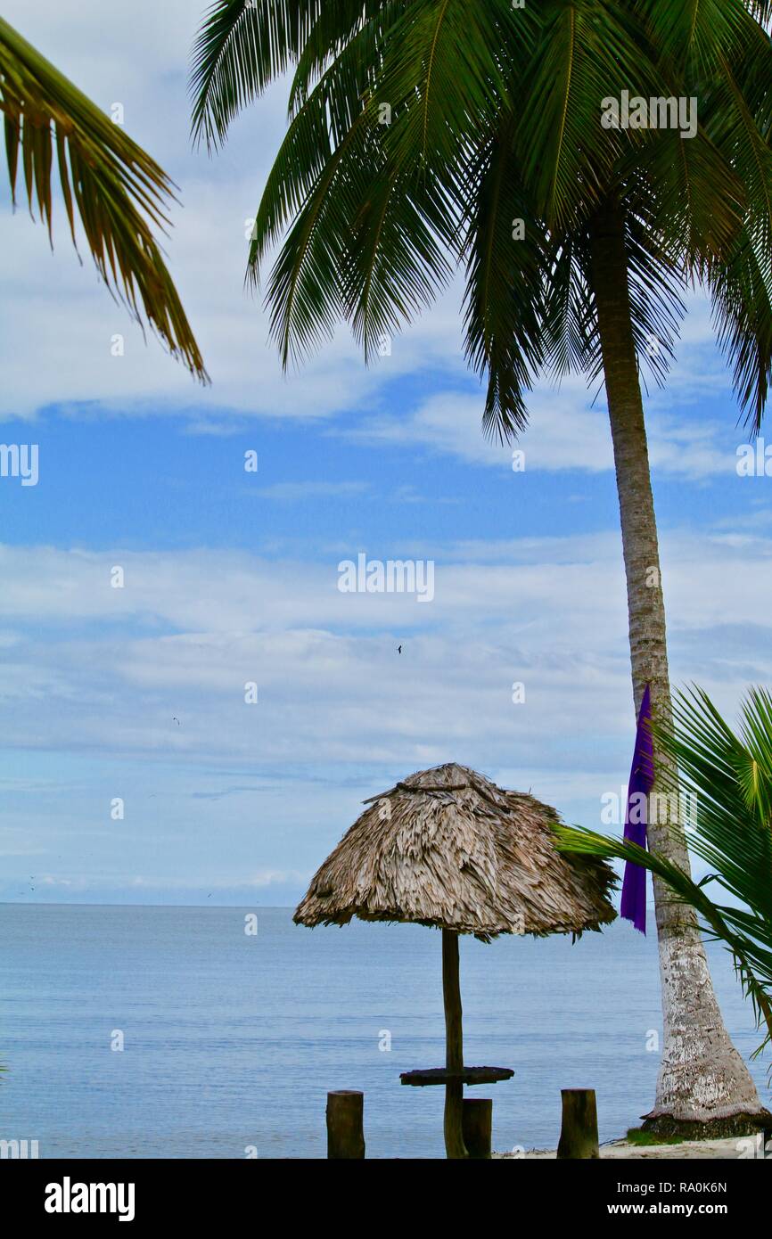 A lone table and chairs under a thatched roof palapa and palm trees ...