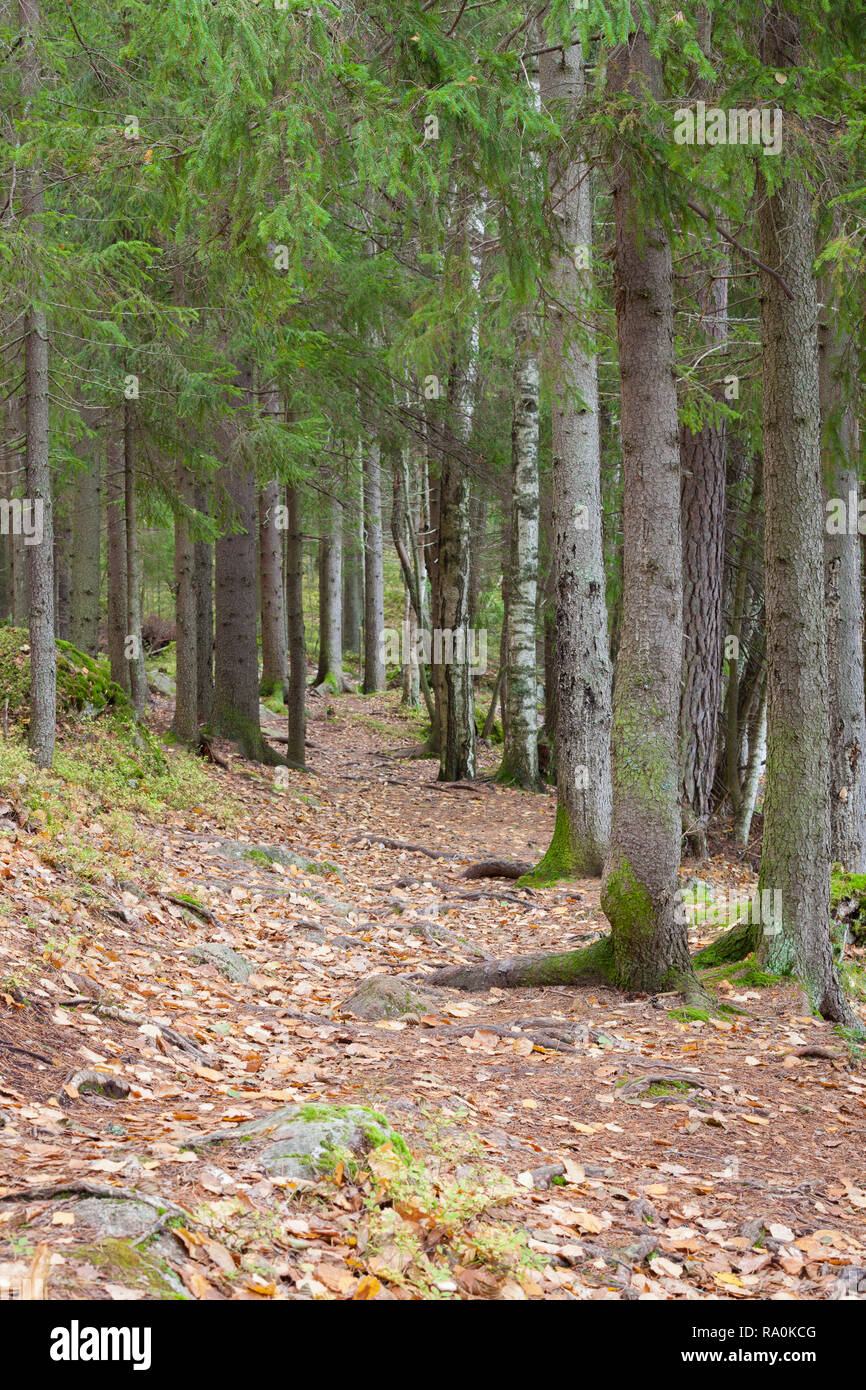 Small pathway hi-res stock photography and images - Alamy
