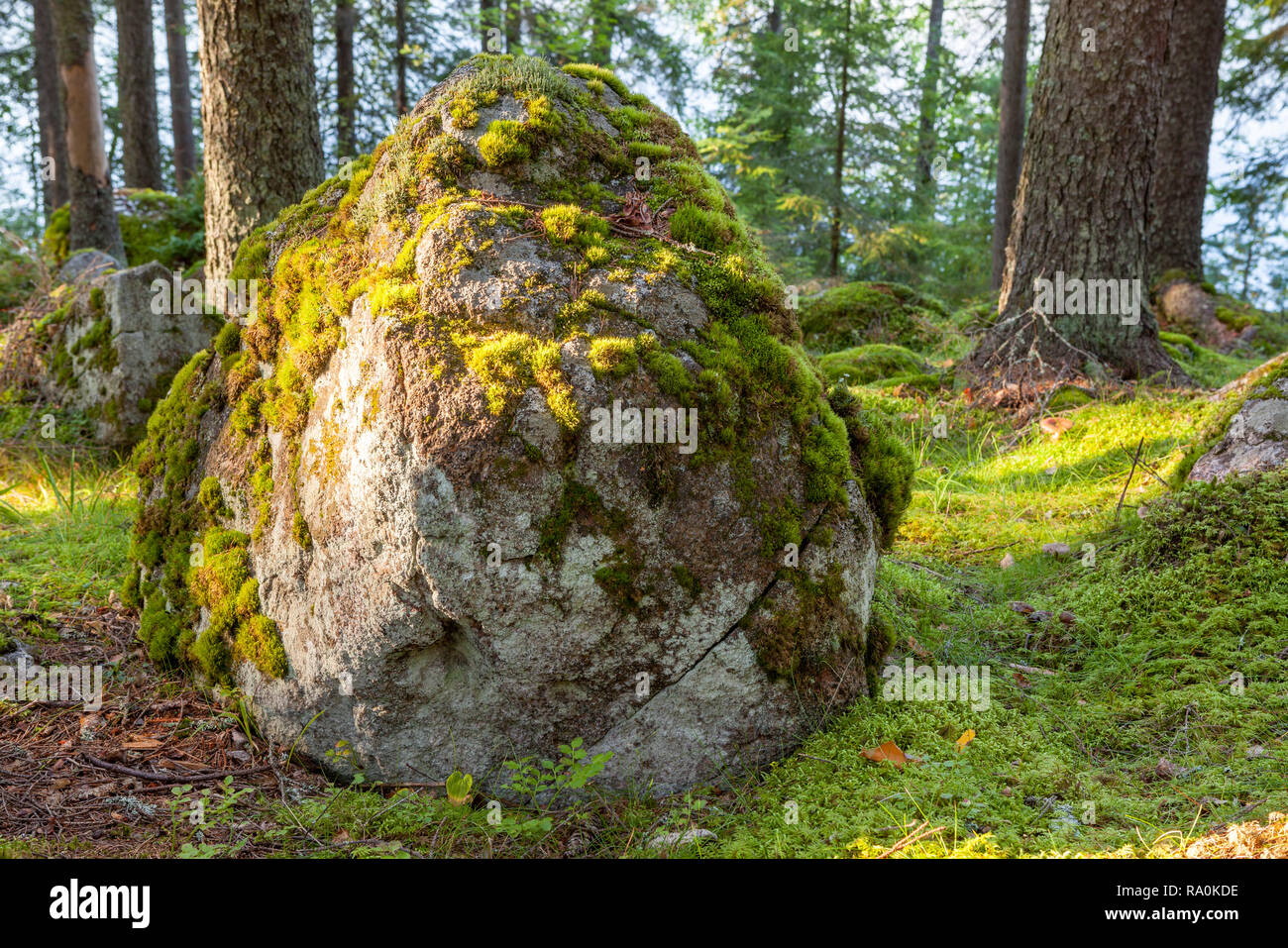 Big rock in forest landscape Stock Photo - Alamy