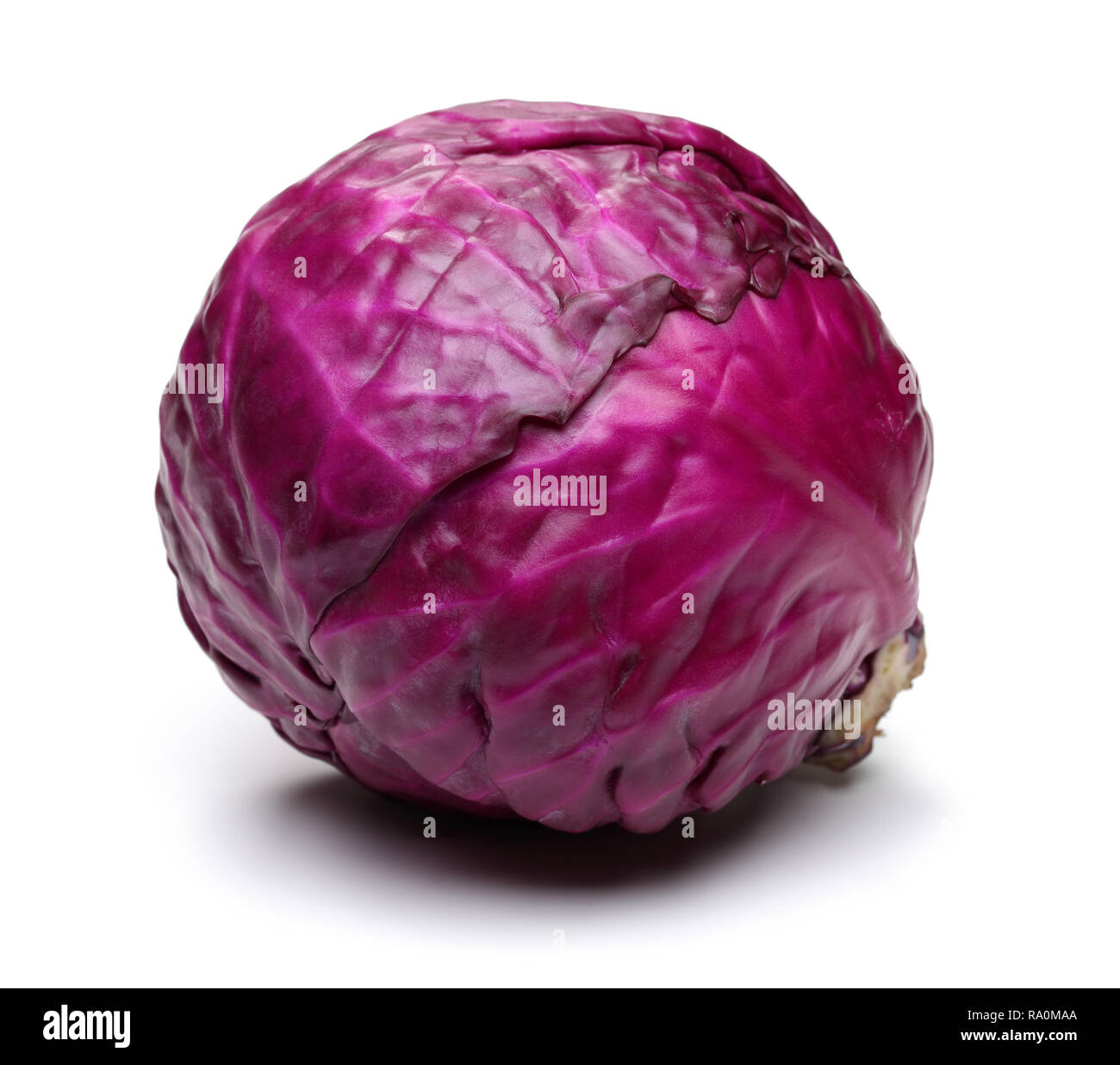 Fresh red cabbage isolated on white background Stock Photo - Alamy